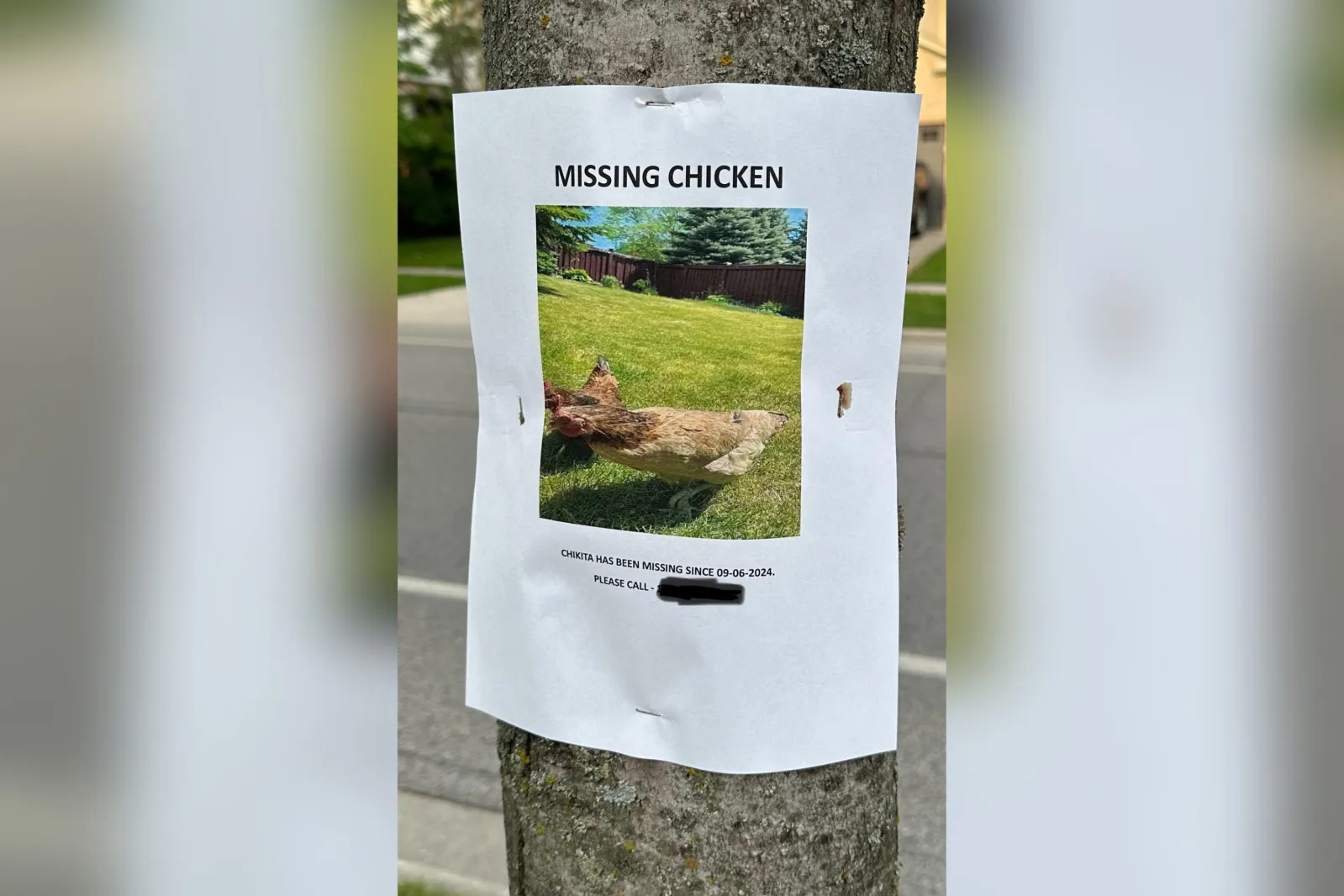Neighbor Adamant His Animals Won’t Escape Gets Big Shock a Week Later ...