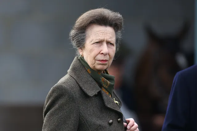 Princess Anne Hospital Update - Newsweek