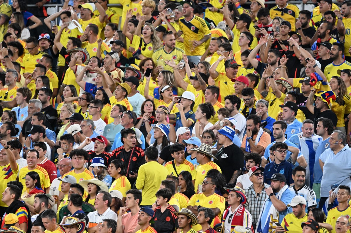 Videos Show Uruguay Players Fight With Colombia Fans After Game - Newsweek