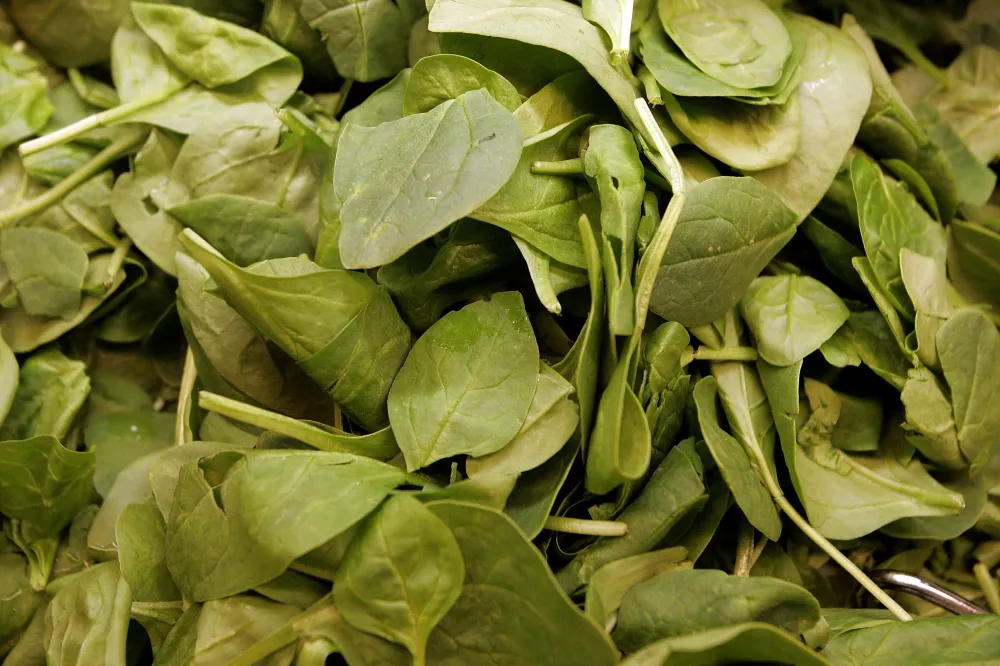 Spinach Recall Update As FDA Sets Highest Risk Level - Newsweek