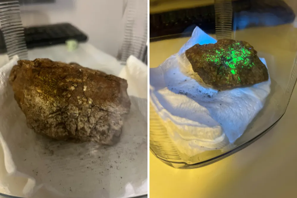 Man Makes Wild Discovery About Rock His Dad Found 30 Years Ago - Newsweek