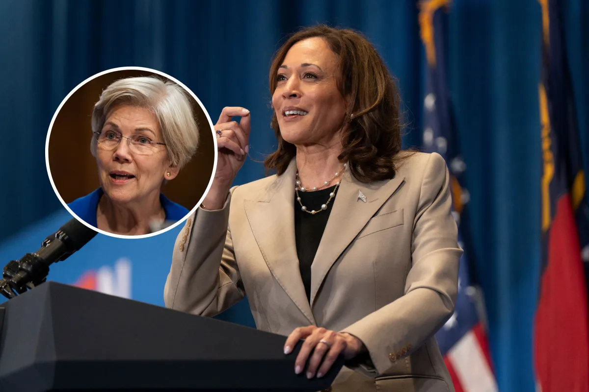 Kamala Harris ‘Ready to Step Up,’ Democratic Senator Says - Newsweek