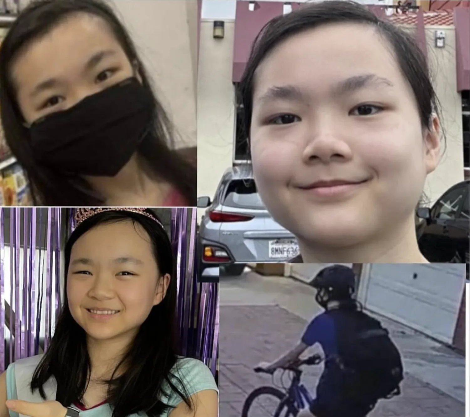 Alison Chao’s Father Charged With Stealing Child - Newsweek