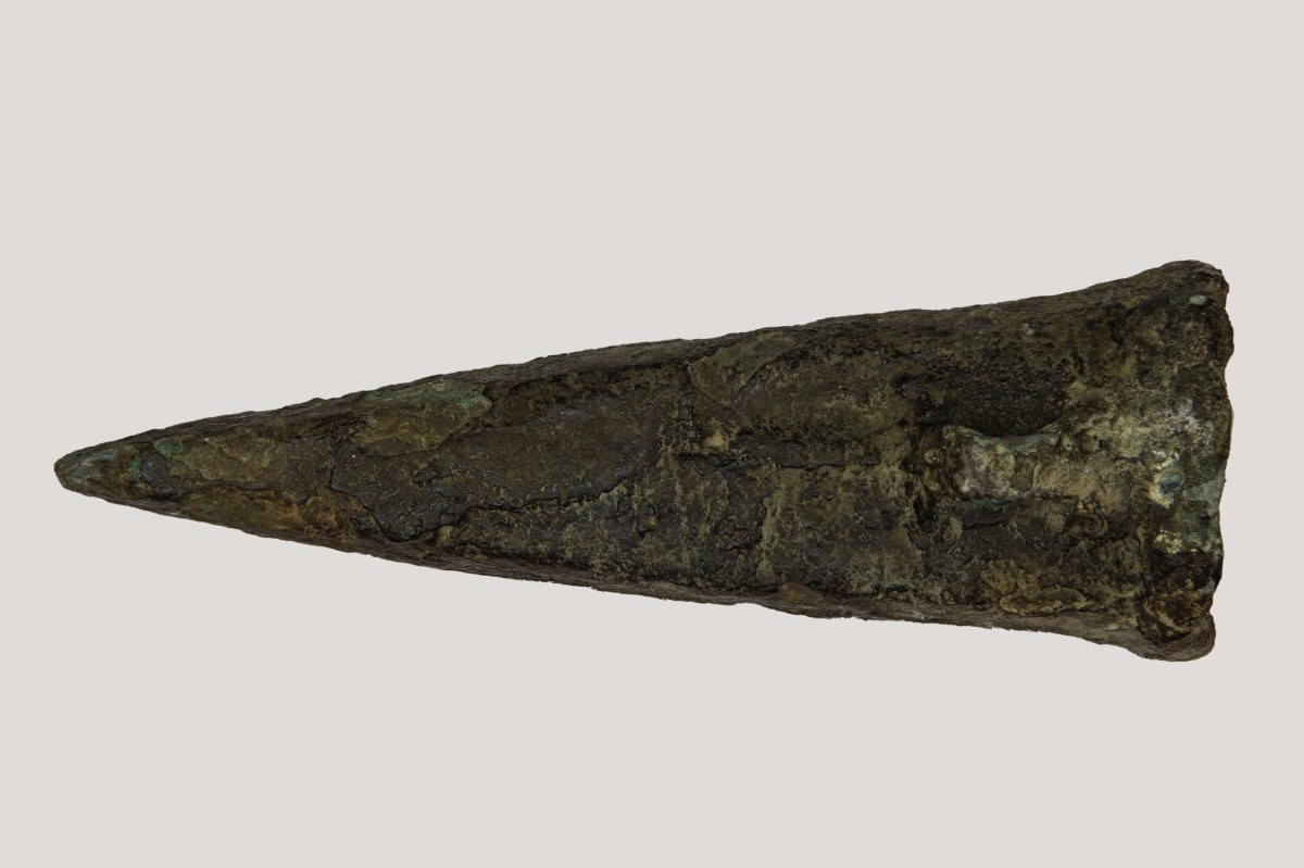 First-of-Its-Kind Prehistoric Artifact Found Below Sea, Experts ...