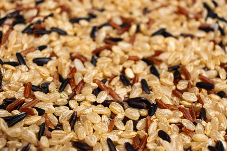 Rice Recall Update As FDA Sets Risk Level - Newsweek