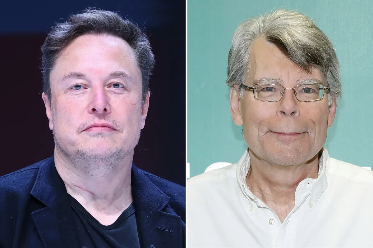 Stephen King’s Viral Elon Musk Call Out Gets a Response From Him - Newsweek