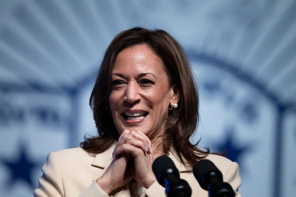 Kamala Harris Running Mate Wildcard Emerges - Newsweek