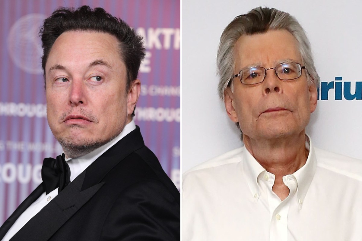 Stephen King, Elon Musk Get Into Spat Online - Newsweek