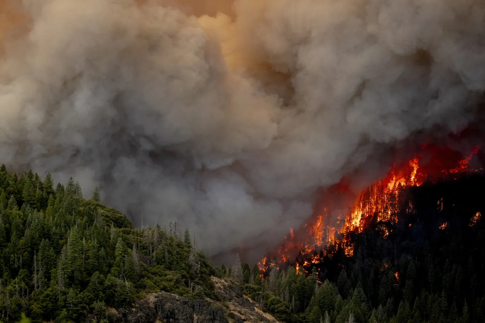 California Park Fire Containment ‘Very Challenging’ As Blaze Explodes ...