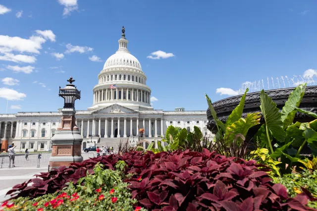 What Is Project 2025? A 5-Minute Overview of the Conservative Playbook ...