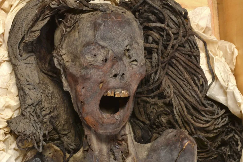 Mummy News & Latest Pictures From Newsweek.com