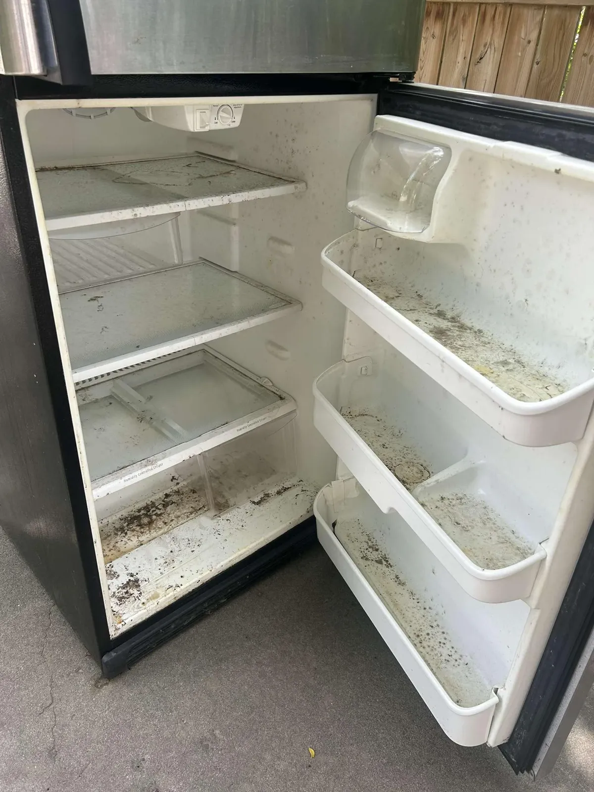 Woman Disappointed by Contents of ‘Suspicious Fridge’ Left in Parking ...