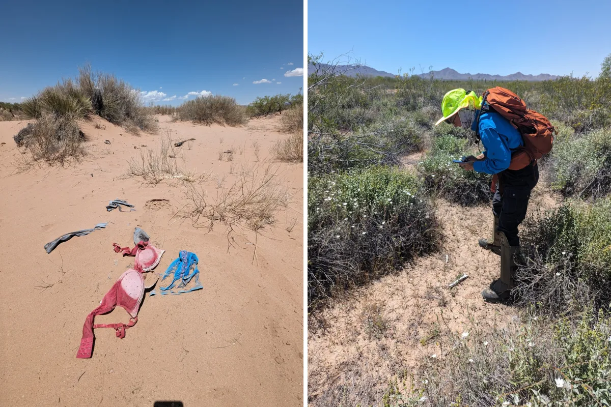 Skeletal Remains and Belongings of Hundreds of Missing Migrants Found ...