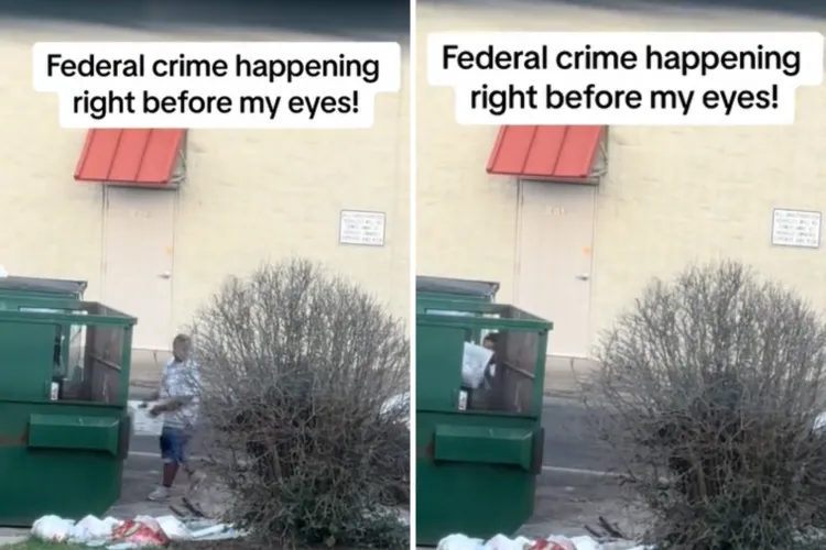 Viral TikTok Video Catches Postal Worker Allegedly Tossing Mail In ...