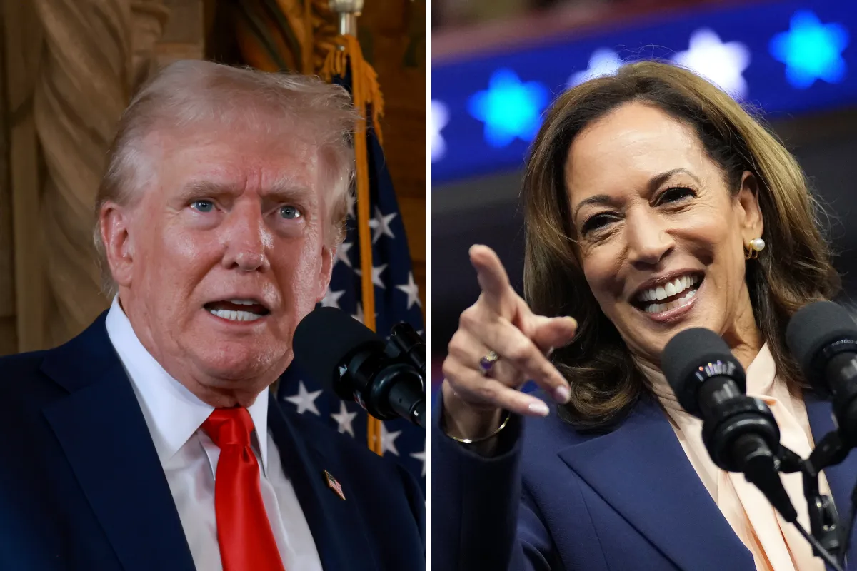 Kamala Harris Campaign Trolls Trump With Video of Empty Seats at His ...