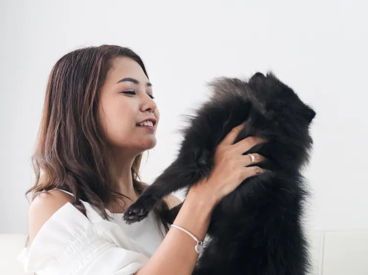 Woman Finds Late Dog’s ‘Replica’ on Euthanasia List, Immediately Adopts ...