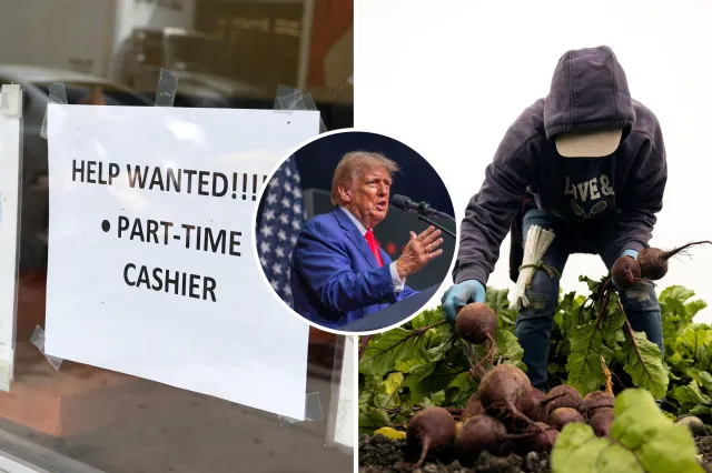 Trump Argues Migrants are Stealing Jobs, Experts and Data Disagree ...