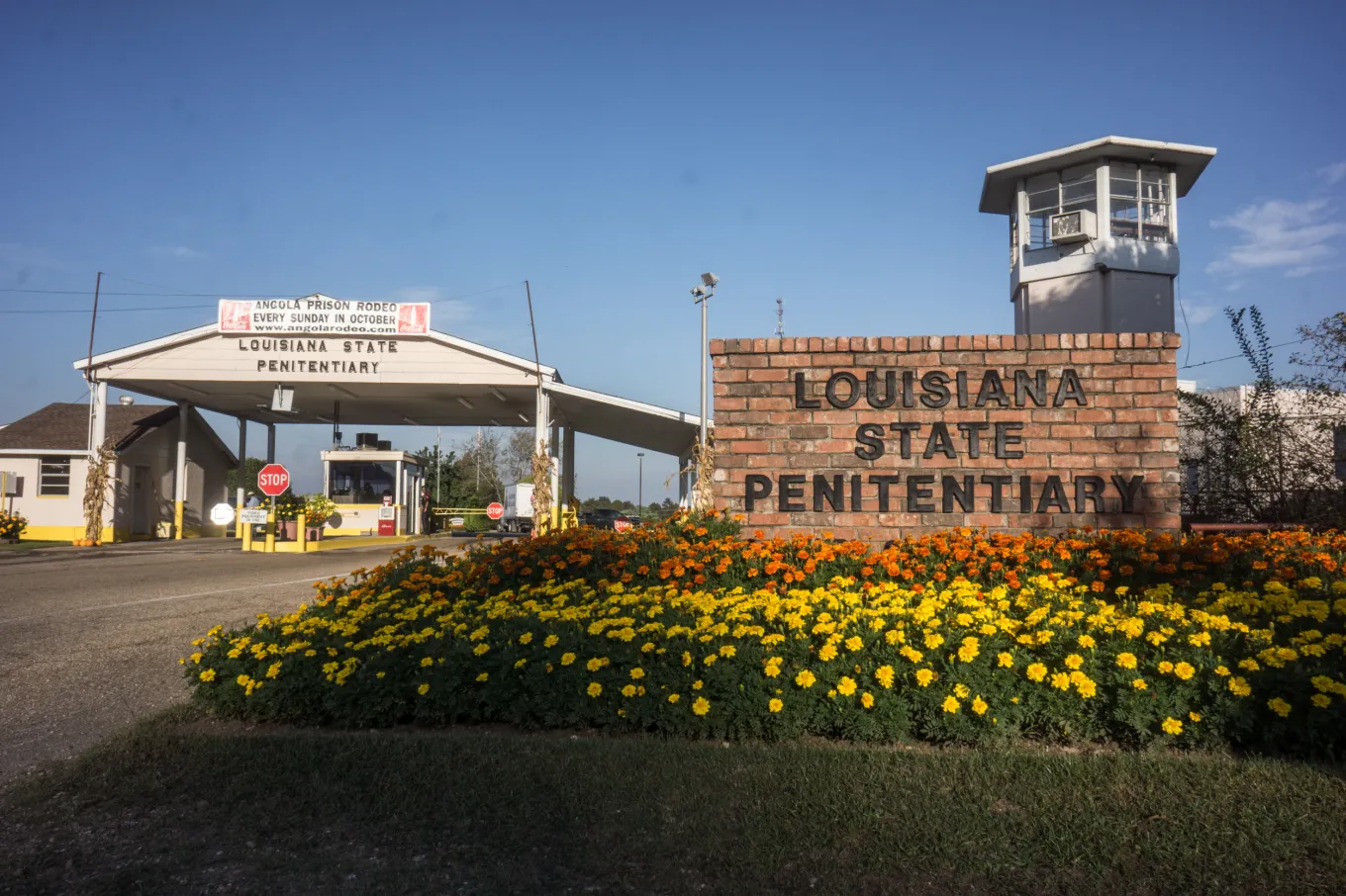 Map Shows Which States Have the Most Prisoners - Newsweek
