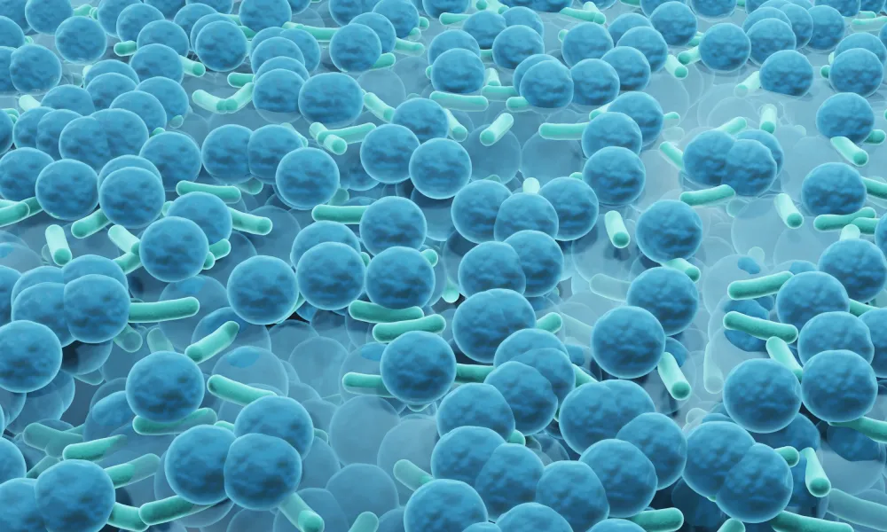 Bacteria News & Latest Pictures From Newsweek.com