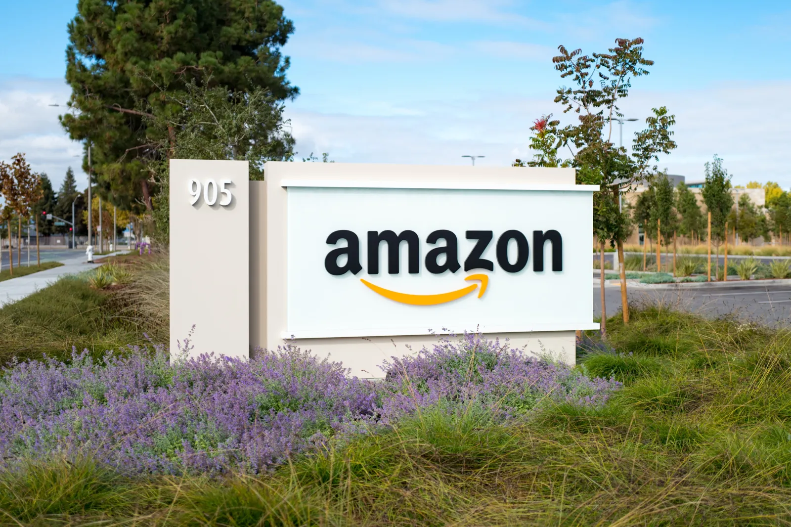 Court Revives District of Columbia’s Antitrust Lawsuit Against Amazon ...