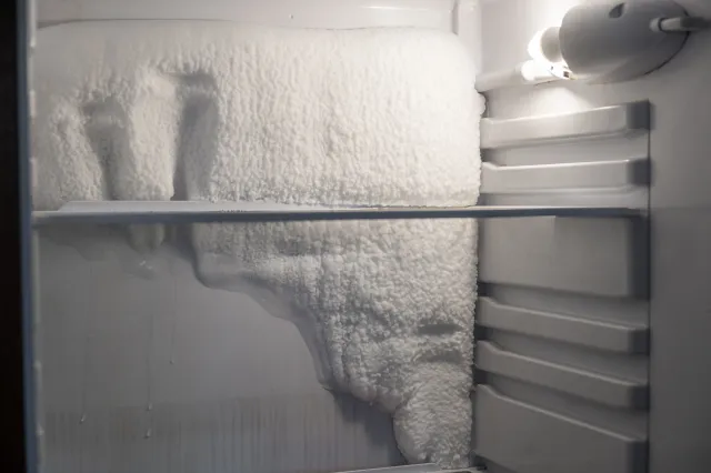 Son Murdered Father, Stored Body in Freezer Bought With His Money ...