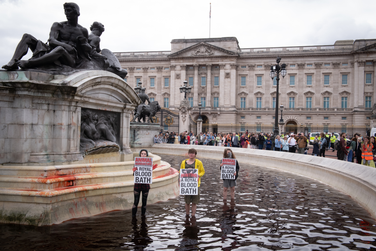 Buckingham Palace Protesters Found Guilty After Fake Blood Stunt - Newsweek