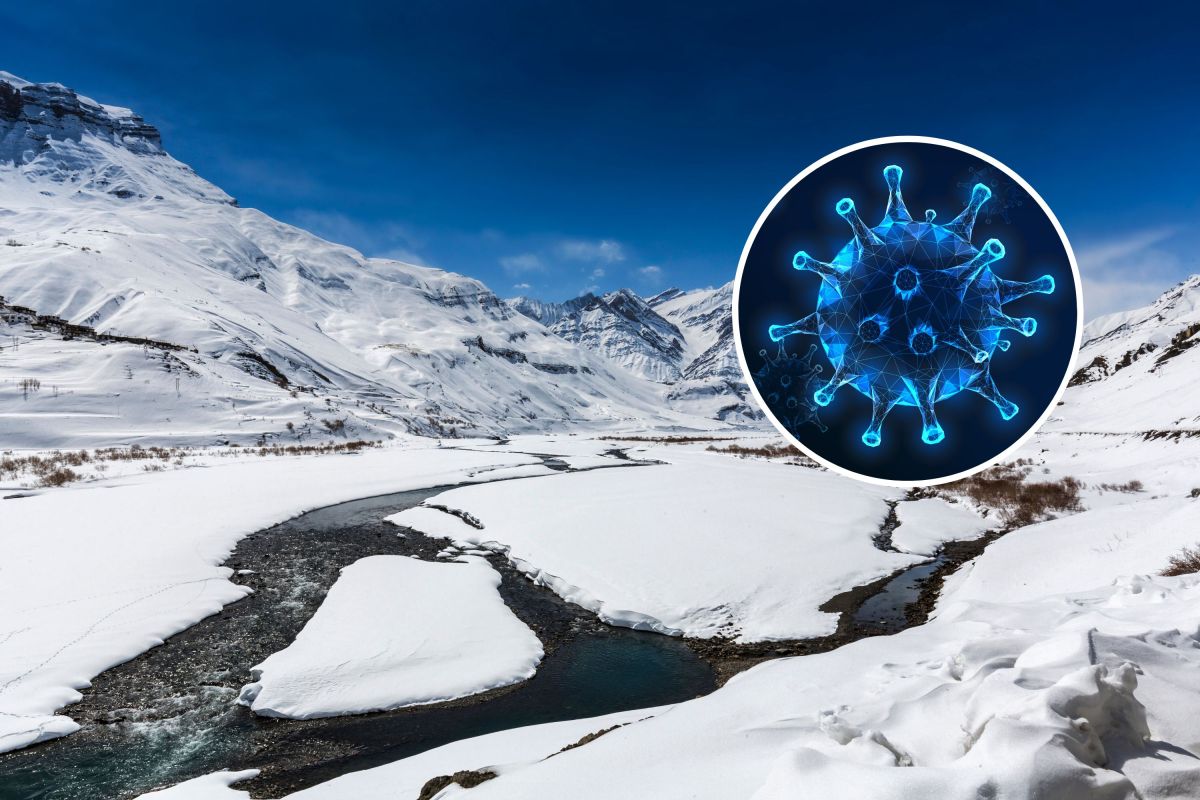 More Than 1,000 Viruses Unknown to Science Found in Melting Ice - Newsweek