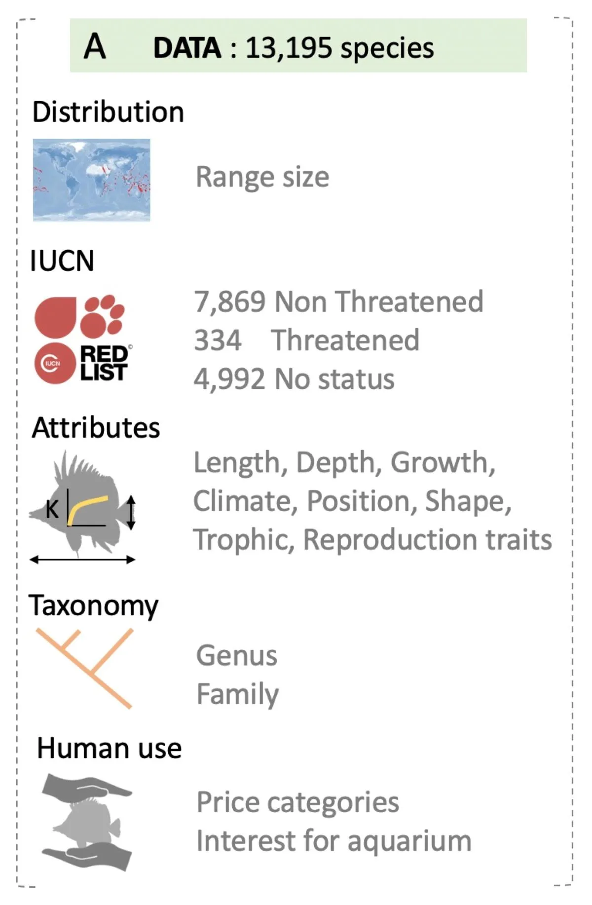 Fish: Extinction Risk Looms Over Five Times More Species Than Thought ...
