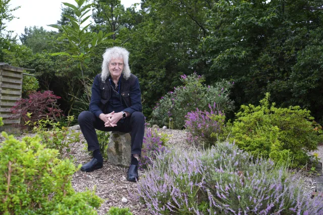 Brian May Gives Health Update After Suffering Stroke - Newsweek