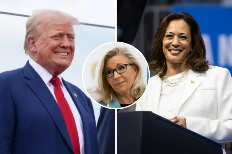 Liz Cheney to Vote For Kamala Harris in 2024 Election - Newsweek