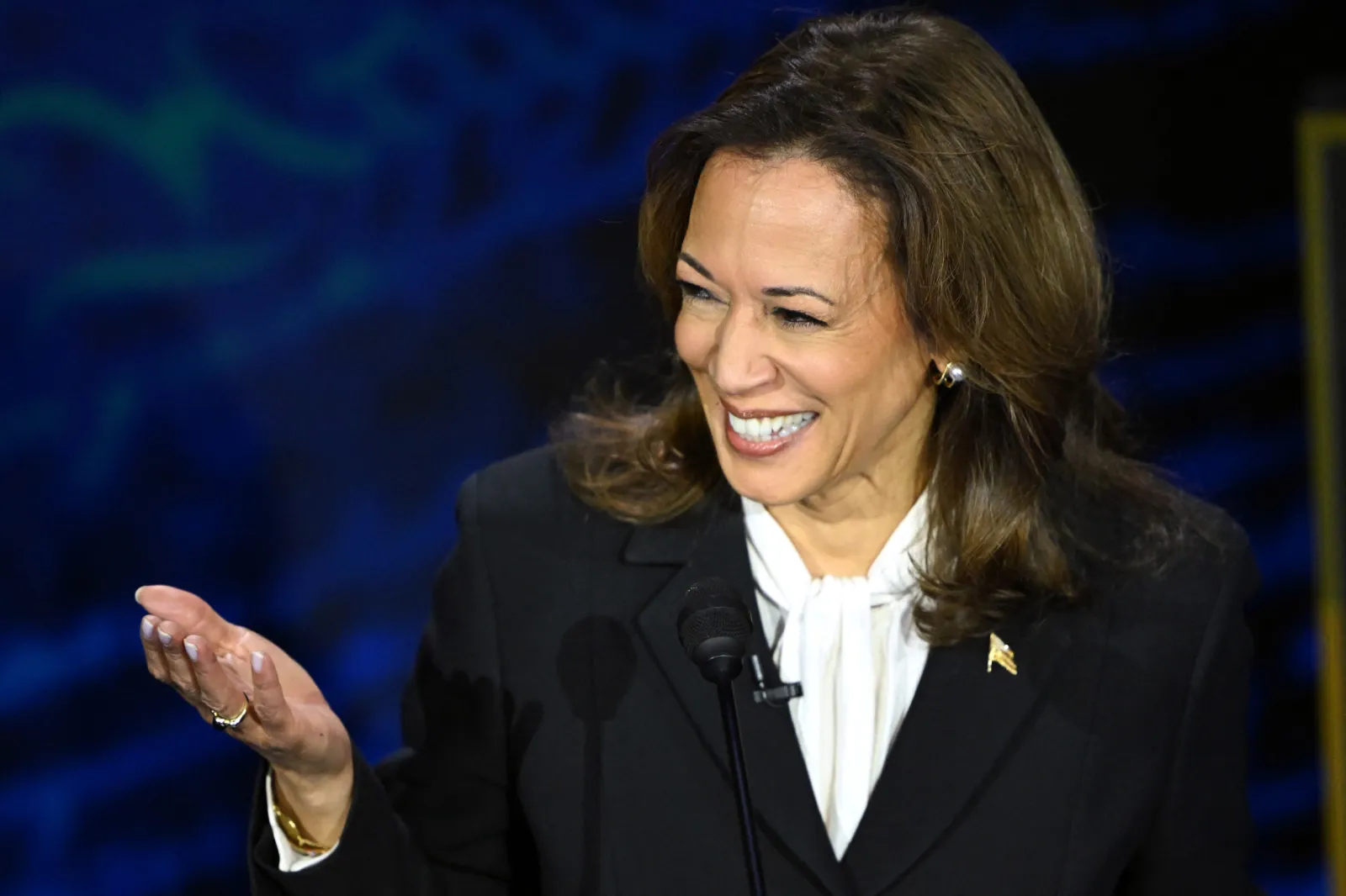 Kamala Harris Can Expect Rise in Polls After Trump Debate—Analyst ...