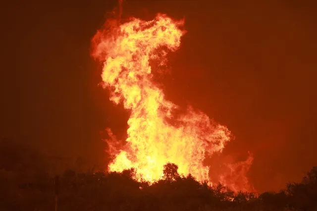Gavin Newsom Declares State of Emergency for Bridge and Airport ...