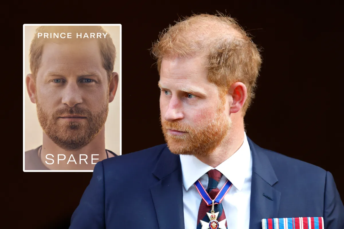 Prince Harry Is ‘Paying’ Price for ‘Spare,’ Says Biographer - Newsweek