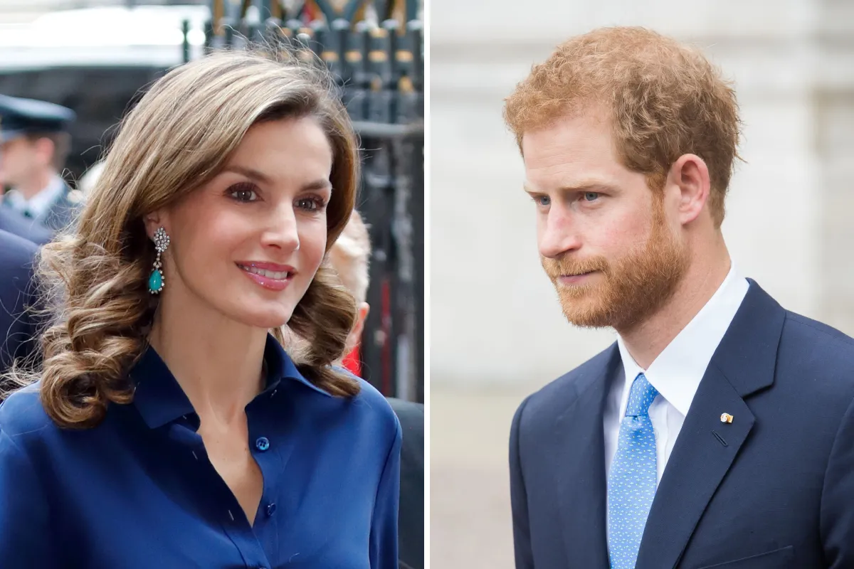 Prince Harry’s Moment With Spanish Queen Goes Viral - Newsweek