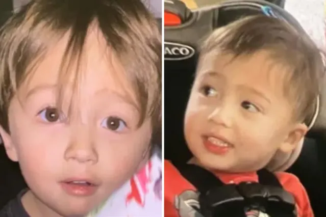 Heartbreaking Update on 8-Month Search for Elijah Vue - Newsweek