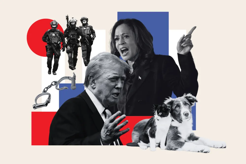 Has 2024 Campaign Rhetoric Gone Too Far? Analysts Weigh In - Newsweek