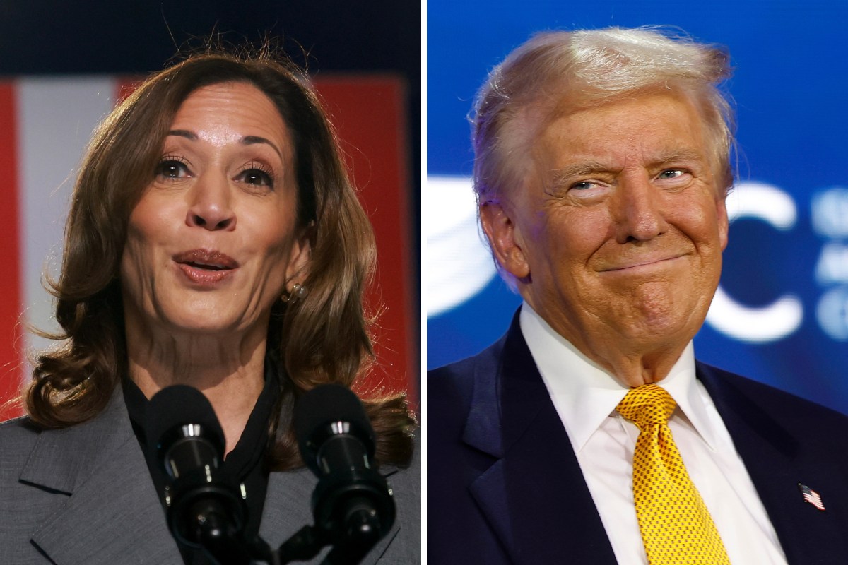 Donald Trump and Kamala Harris Are Both More Popular Than Ever - Newsweek