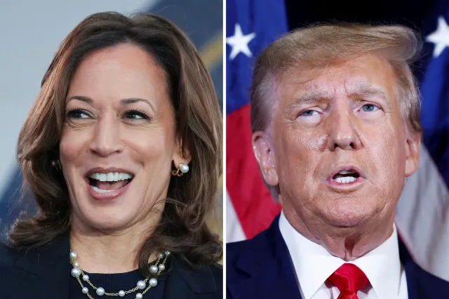 Everything Stephanie Ruhle Has Said About Kamala Harris - Newsweek