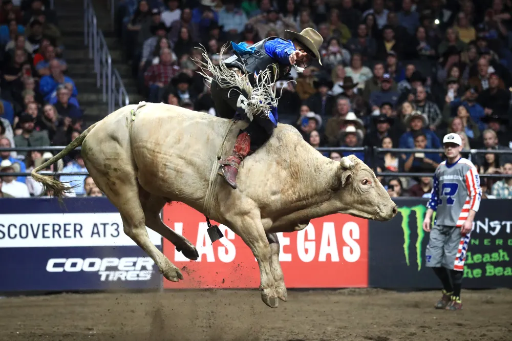 Rodeo Houston Breaks the Bank: 2025 Purse Soars Over $2.5 Million ...