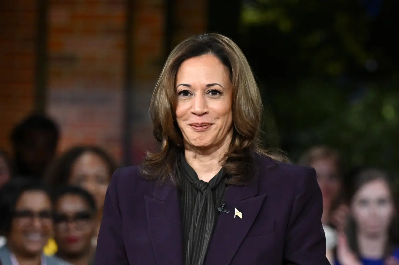 Is Kamala Harris ‘Underwater’ in Michigan? What Polls Say - Newsweek