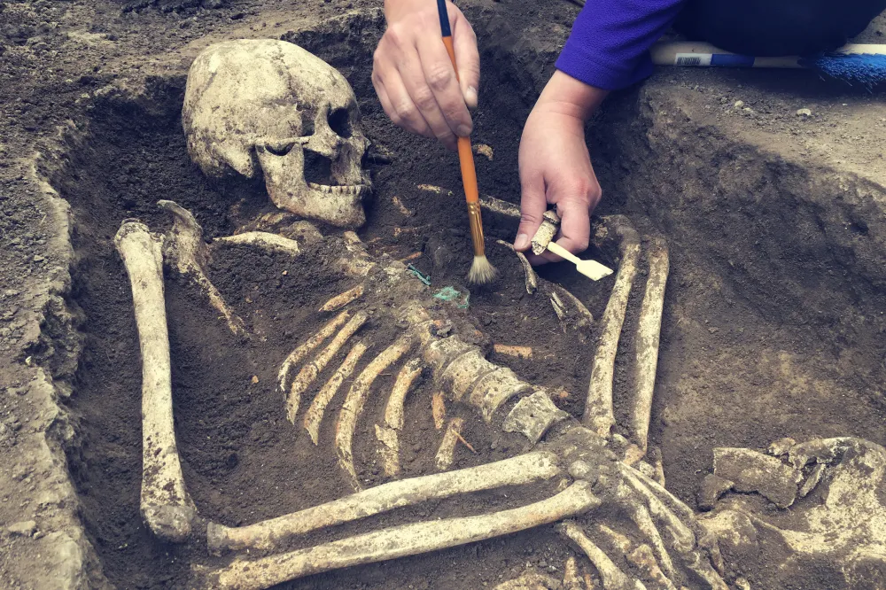 Skeleton News & Latest Pictures From Newsweek.com