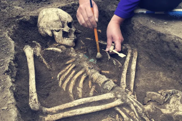 Skeleton News & Latest Pictures From Newsweek.com