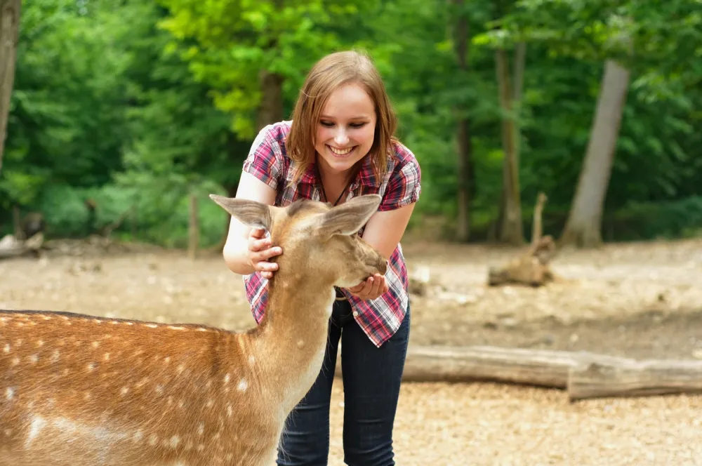 Woman Filmed Befriending Fawn but Not Everyone Is Impressed - Newsweek