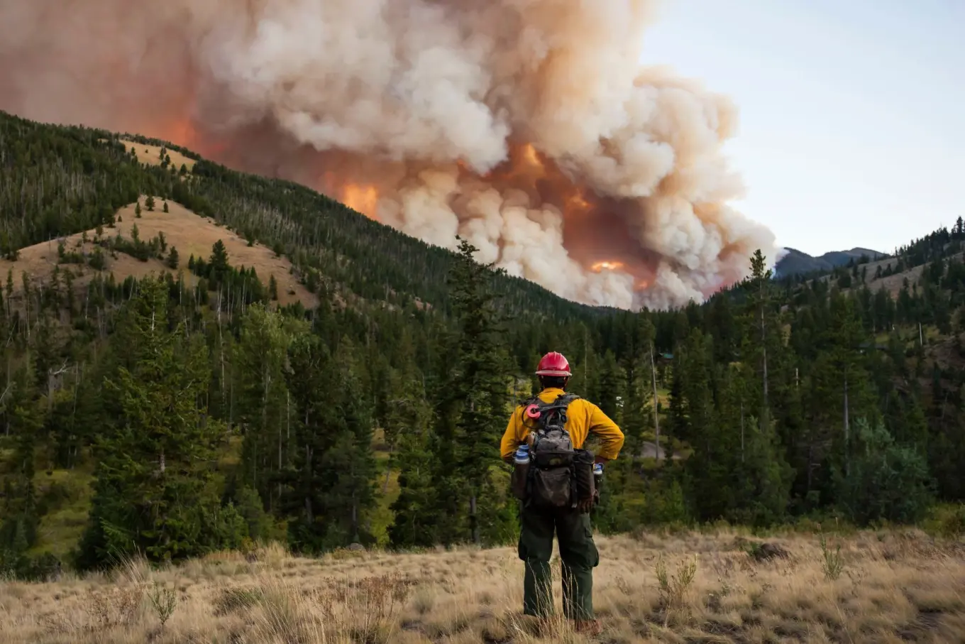 Massive Wildfire in Wyoming Expands to Over 75,000 Acres - Newsweek