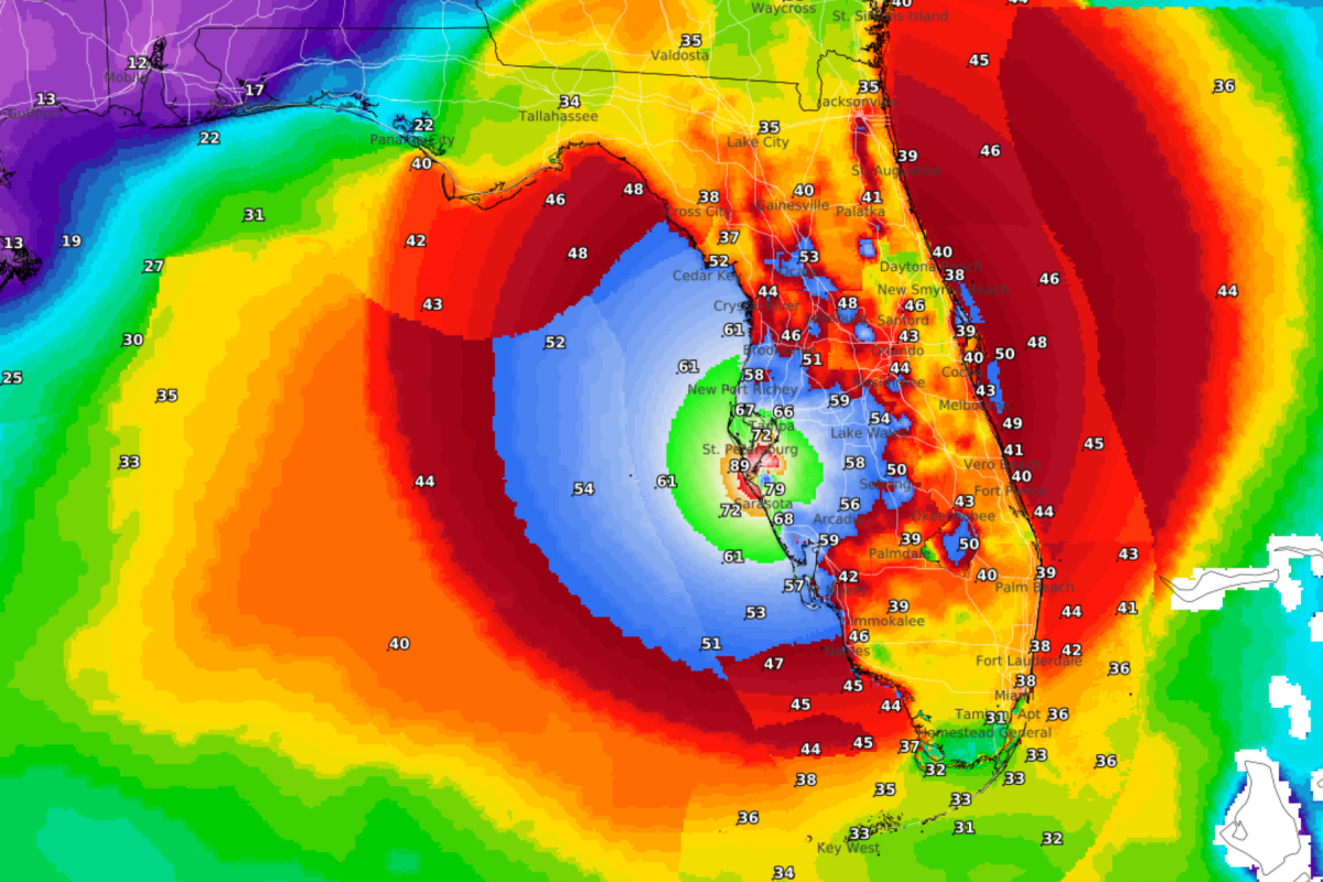 Hurricane Milton: Map Shows Wind Gusts Throughout Florida - Newsweek