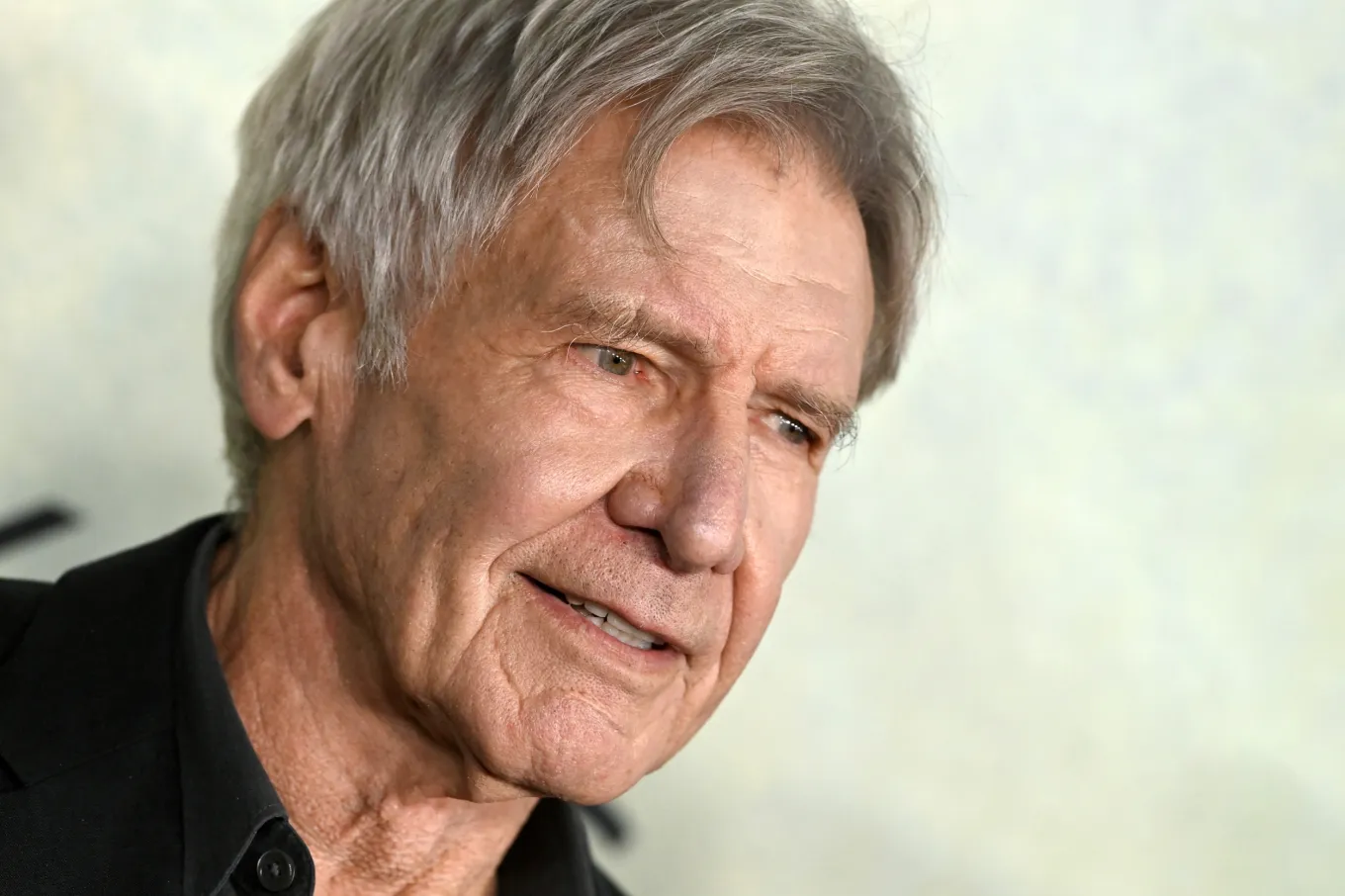 Harrison Ford, 82, Makes Rare Comment On Past Outfit Choices - Newsweek