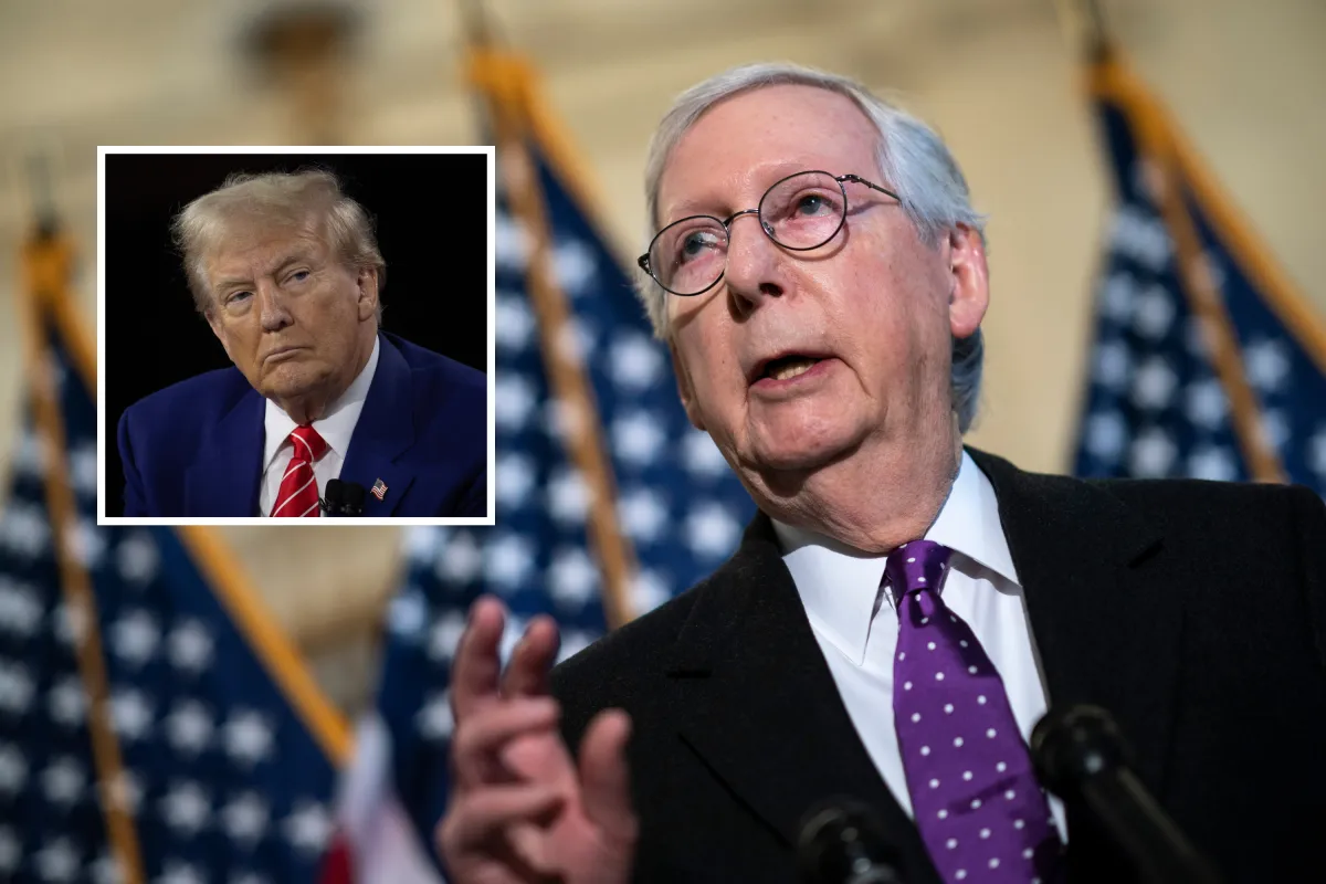 McConnell Called Trump ‘Stupid’ and ‘Despicable’ After 2020 Election ...