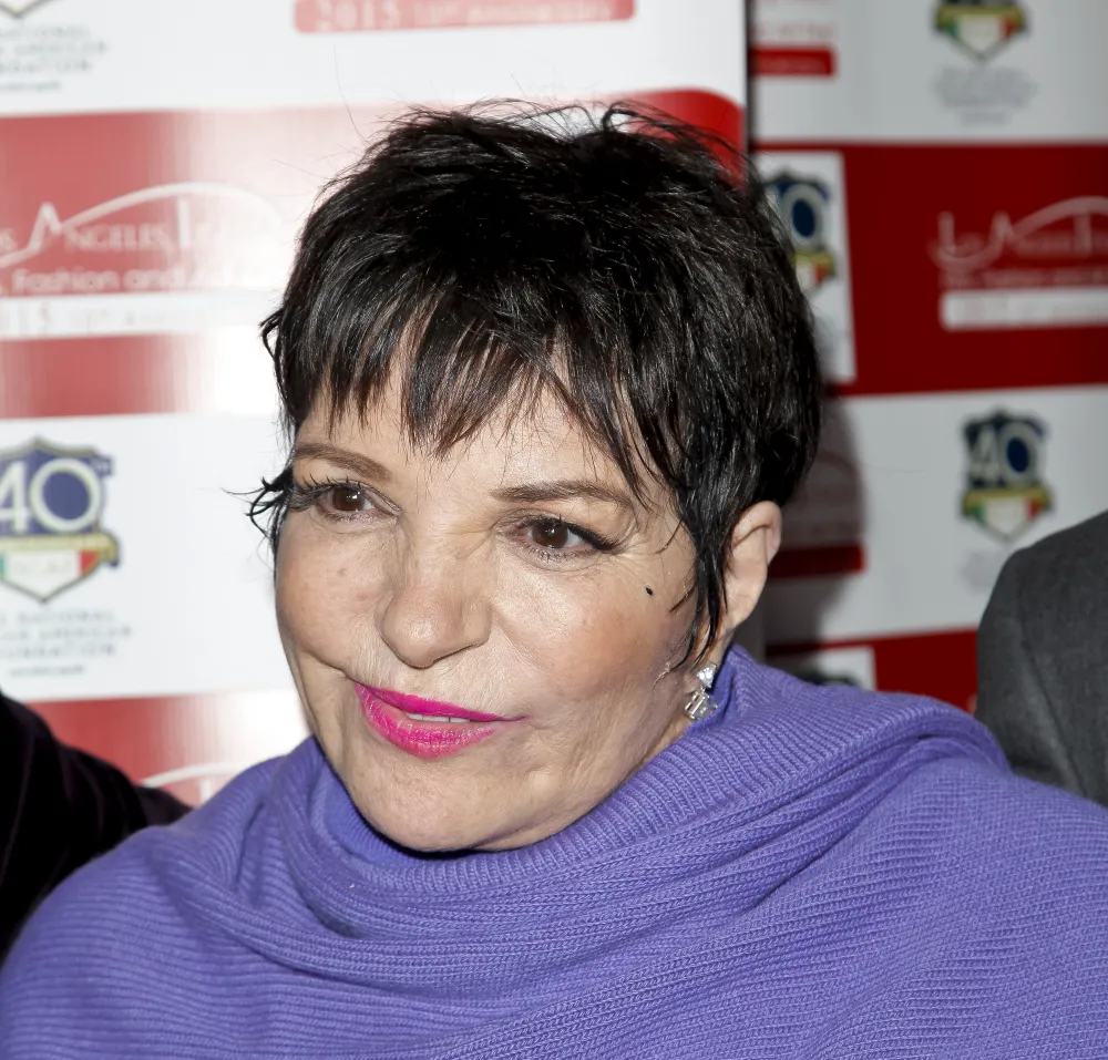 Liza Minnelli Gives Rare Insight Into Her Childhood With Judy Garland ...