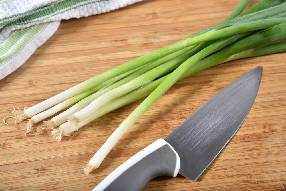 Green Onions Church Brothers Recall by FDA Over Salmonella - Newsweek