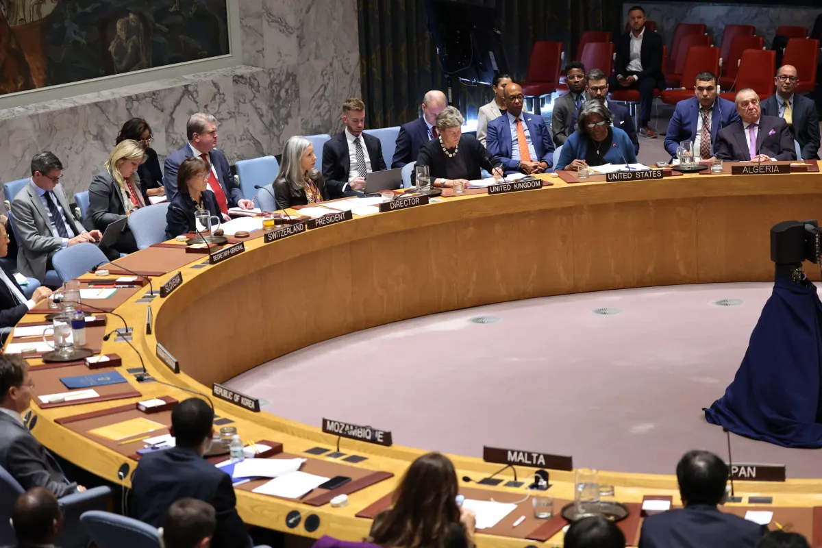 A Seat at the Table: Why the Security Council Needs New Voices ...